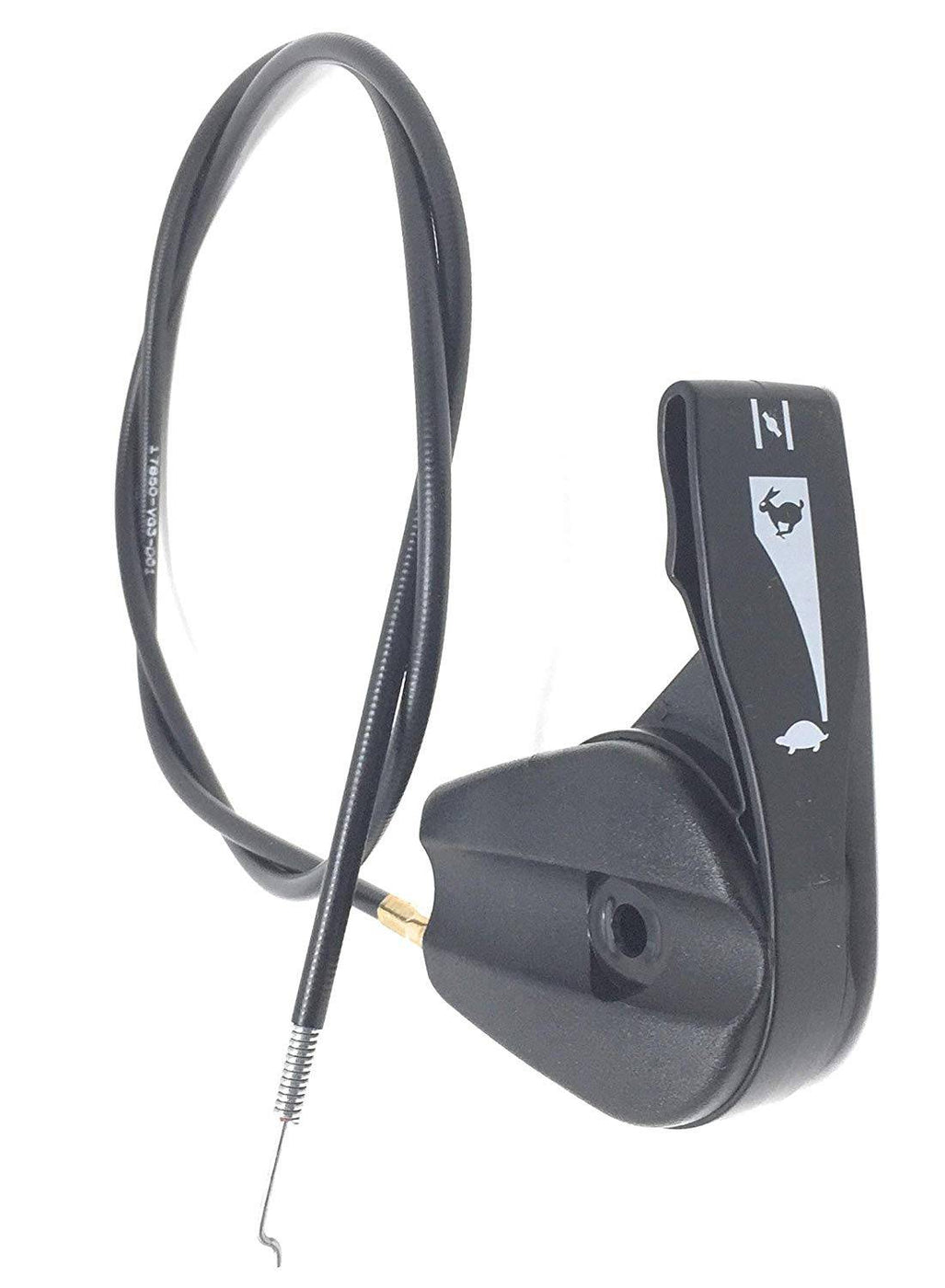 Click to expand Tap to zoom